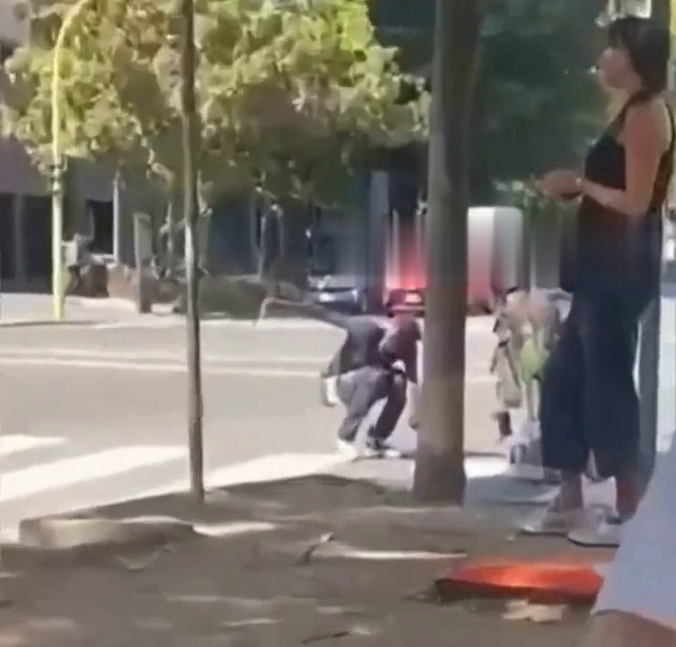 Tourists Film Cultural Enrichment Defecating On The Street In Milan ...