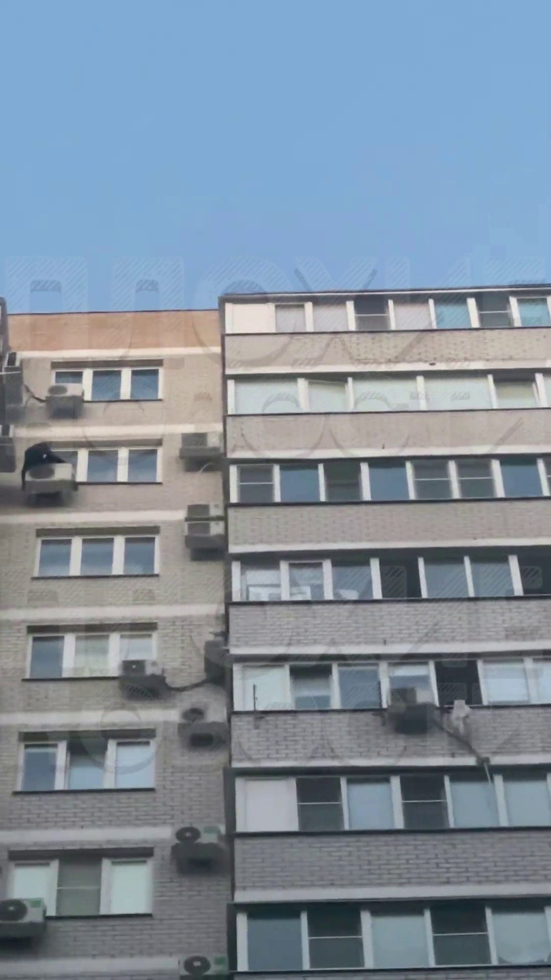 A Drug Addict Who Tried To Rob An Apartment Fell From The 16th Floor ...